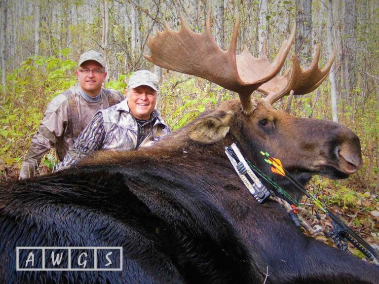 Archery Moose Gallery - Alberta Wilderness Guide Service