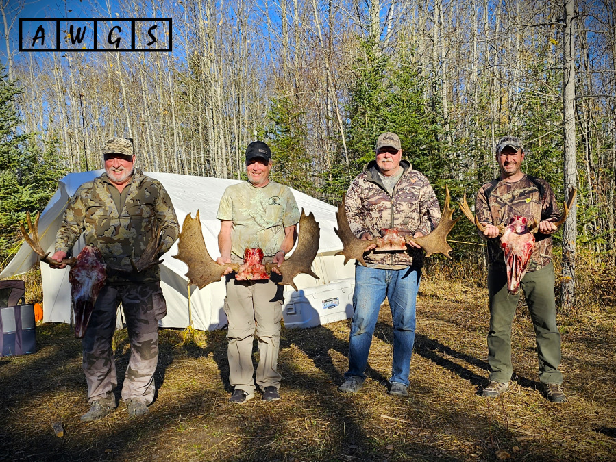 Archery Moose Gallery - Alberta Wilderness Guide Service